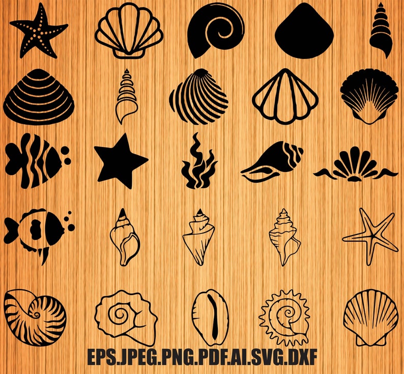 Seashell SVG Bundle, Seashell PNG Bundle, Seashell Clipart, Seashell ...