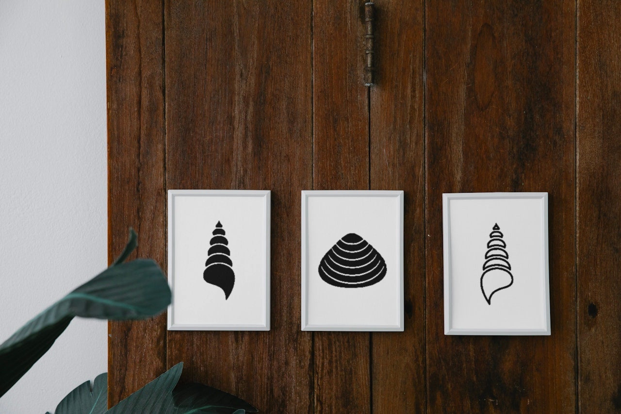 Seashell SVG Bundle, Seashell PNG Bundle, Seashell Clipart, Seashell ...