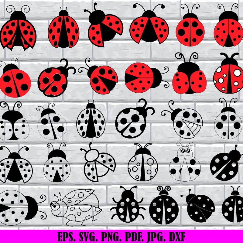Ladybug Svg - Etsy