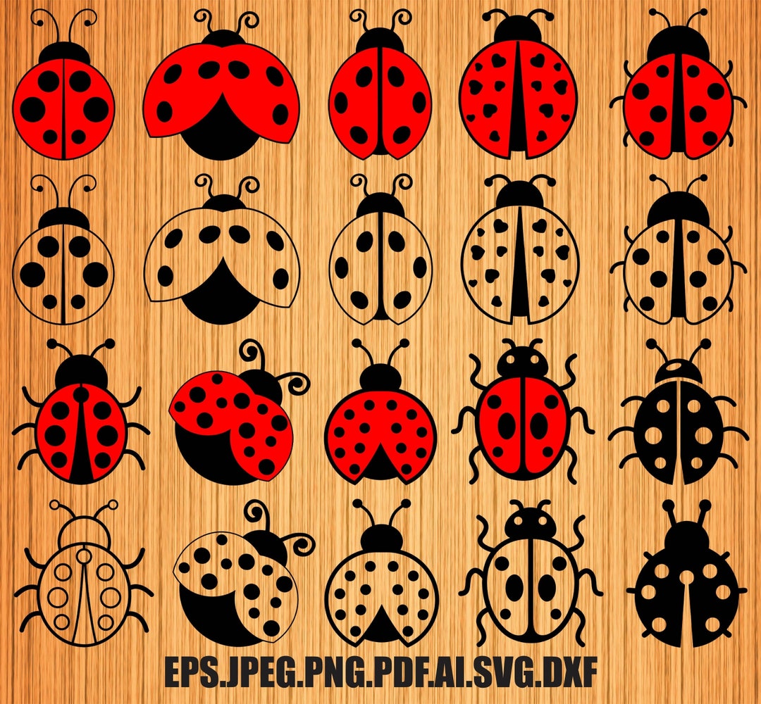 Ladybug SVG Bundle Ladybug Bundle SVG Files Ladybug SVG Layered Ladybug ...