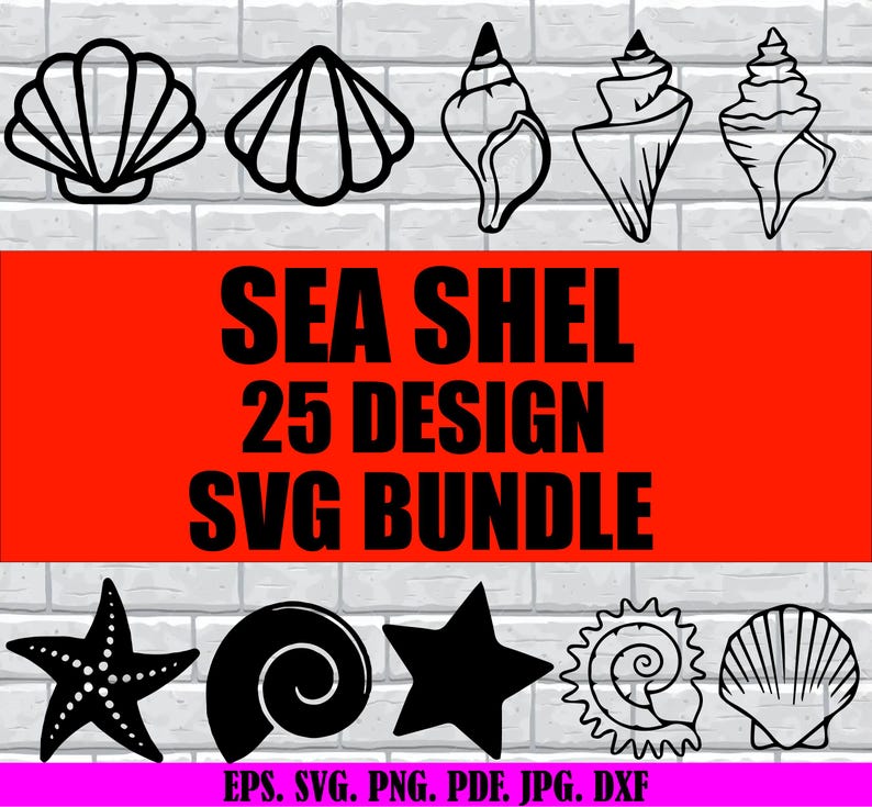 Seashell SVG Bundle, Seashell PNG Bundle, Seashell Clipart, Seashell ...