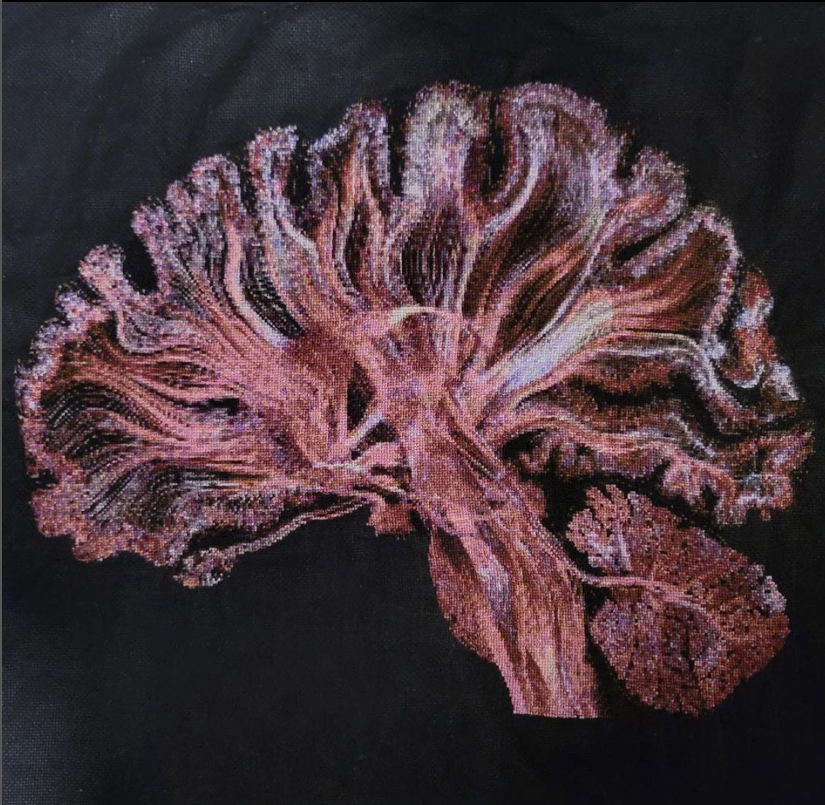 Brain Cross Stitch - Etsy