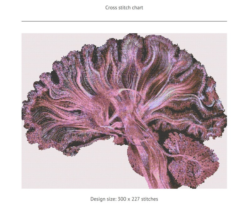 Brain Cross Stitch - Etsy