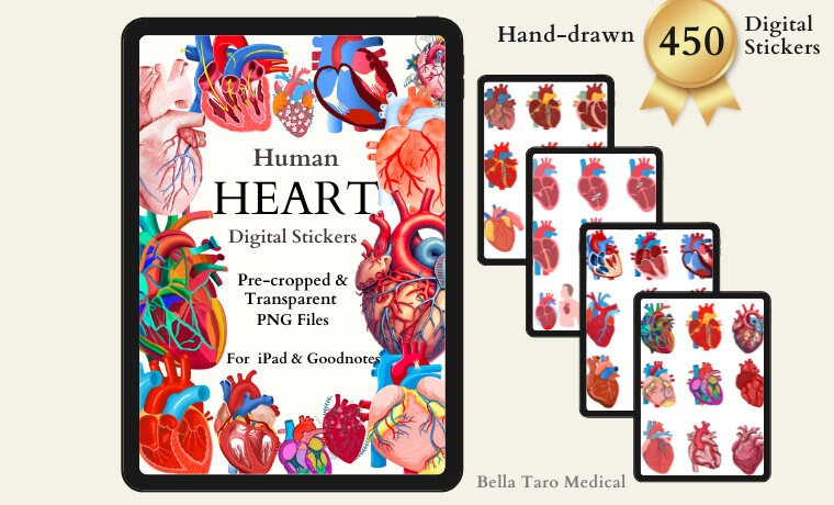 Heart Anatomy Digital Stickers | Hand-drawn Precropped Human Heart ...