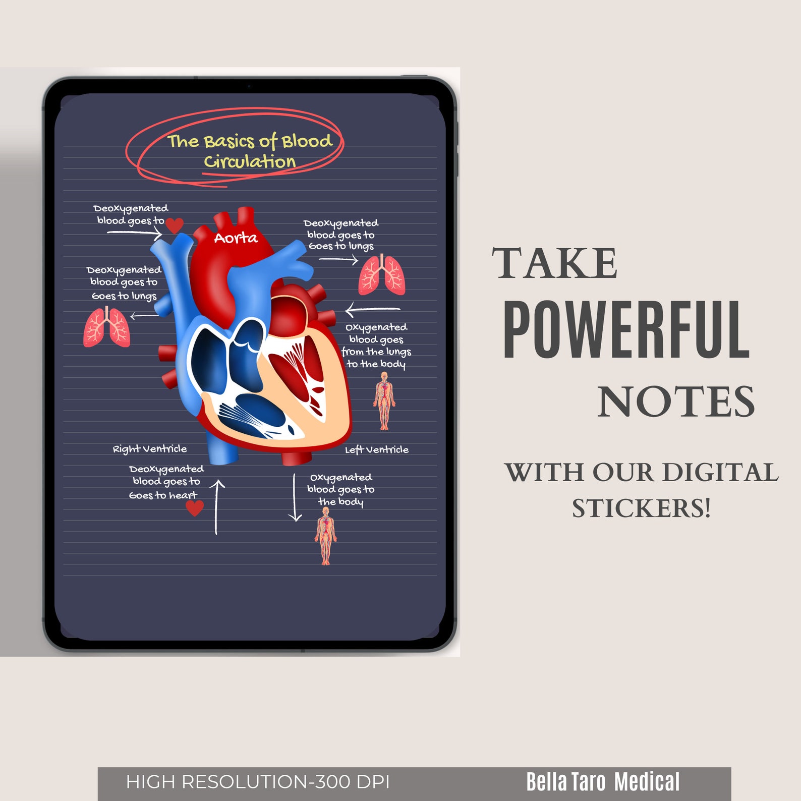 Heart Anatomy Digital Stickers | Hand-drawn Precropped Human Heart ...