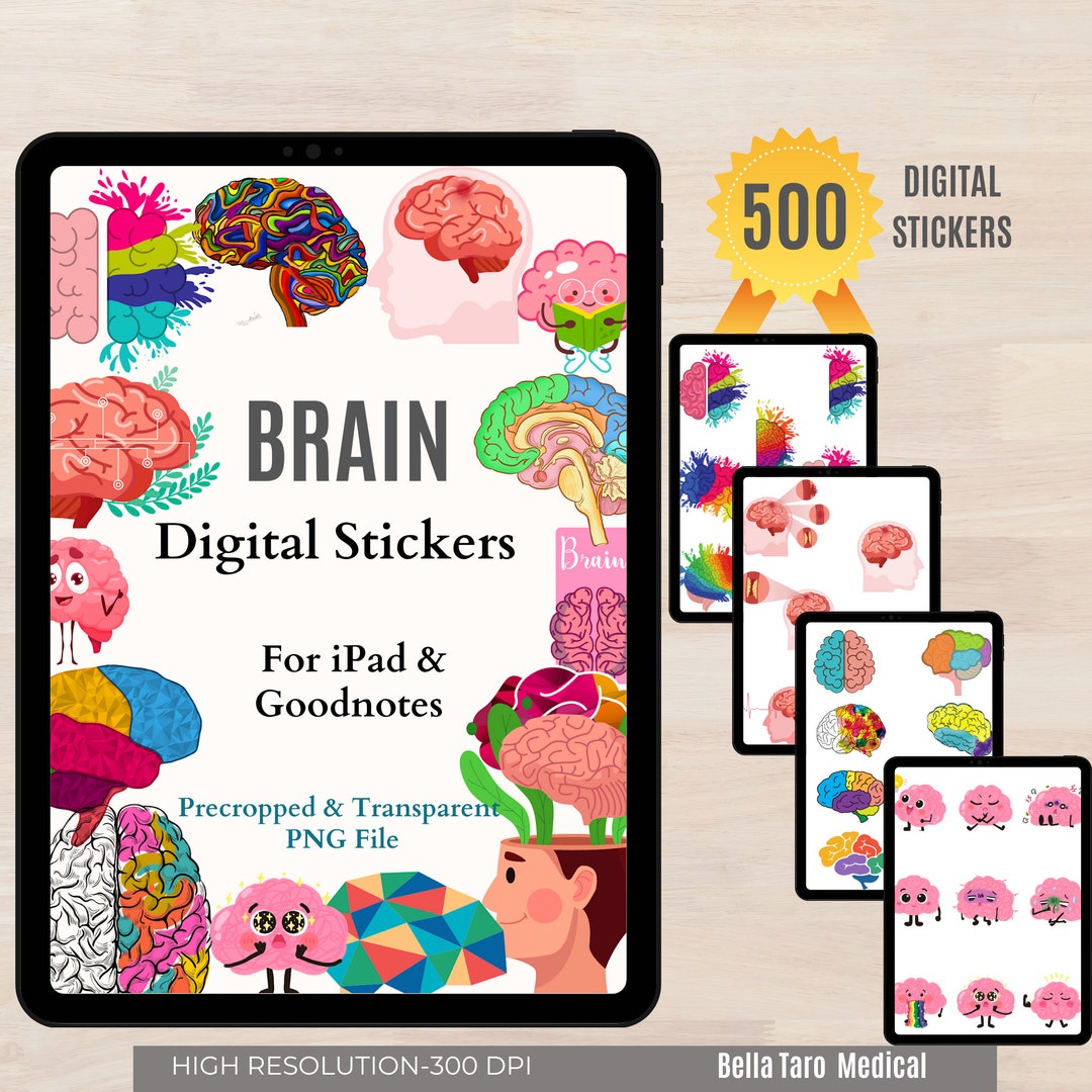 Brain Anatomy Digital Stickers | 500 Hand-drawn Pre-cropped Human ...