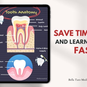 Anatomy & Physiology Bundle Stickers | 560 Pre-cropped Human Body ...