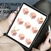 Anatomy & Physiology Bundle Stickers | 560 Pre-cropped Human Body ...