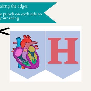 Happy Respiratory Care Week Banner Printable, Hand-drawn Respiratory Therapist Appreciation ...