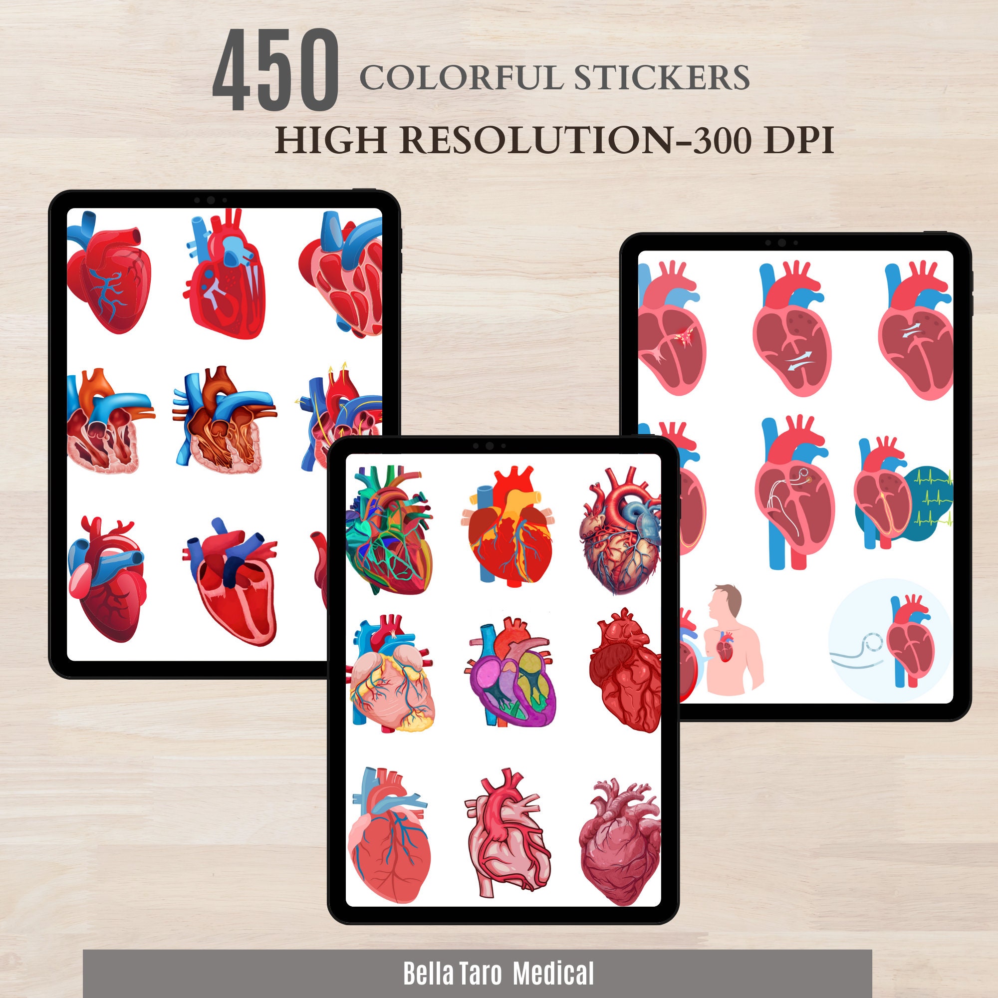Heart Anatomy Digital Stickers | Hand-drawn Precropped Human Heart ...