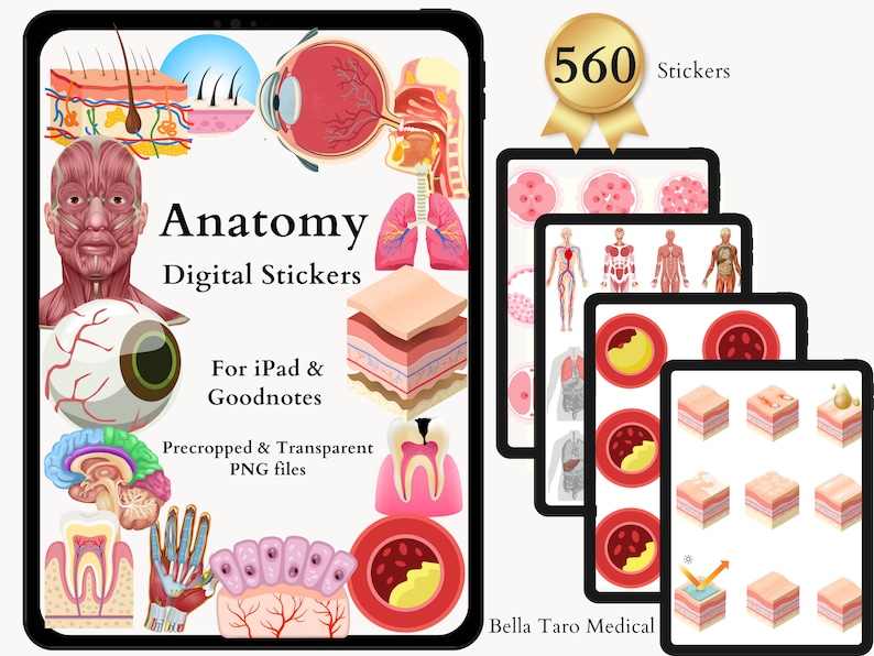 Anatomy & Physiology Bundle Stickers | 560 Pre-cropped Human Body ...