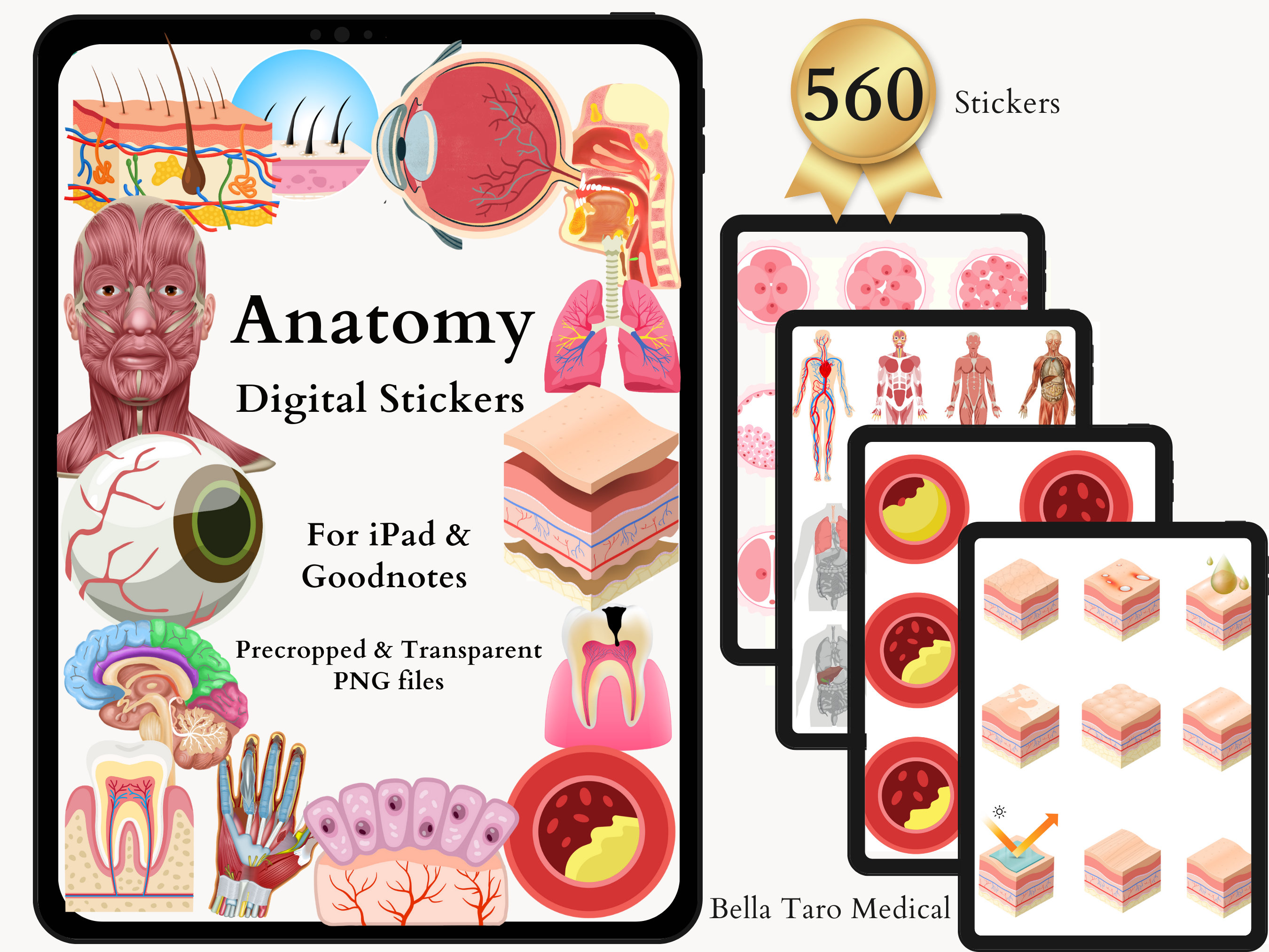 Anatomy & Physiology Bundle Stickers | 560 Pre-cropped Human Body ...