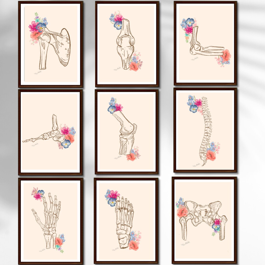 Human Skeleton Anatomy Printable Posters, Set of 9 Hand-drawn Floral ...