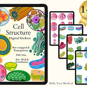 Cell Structure & Anatomy Digital Stickers, Precropped Cell Biology and ...