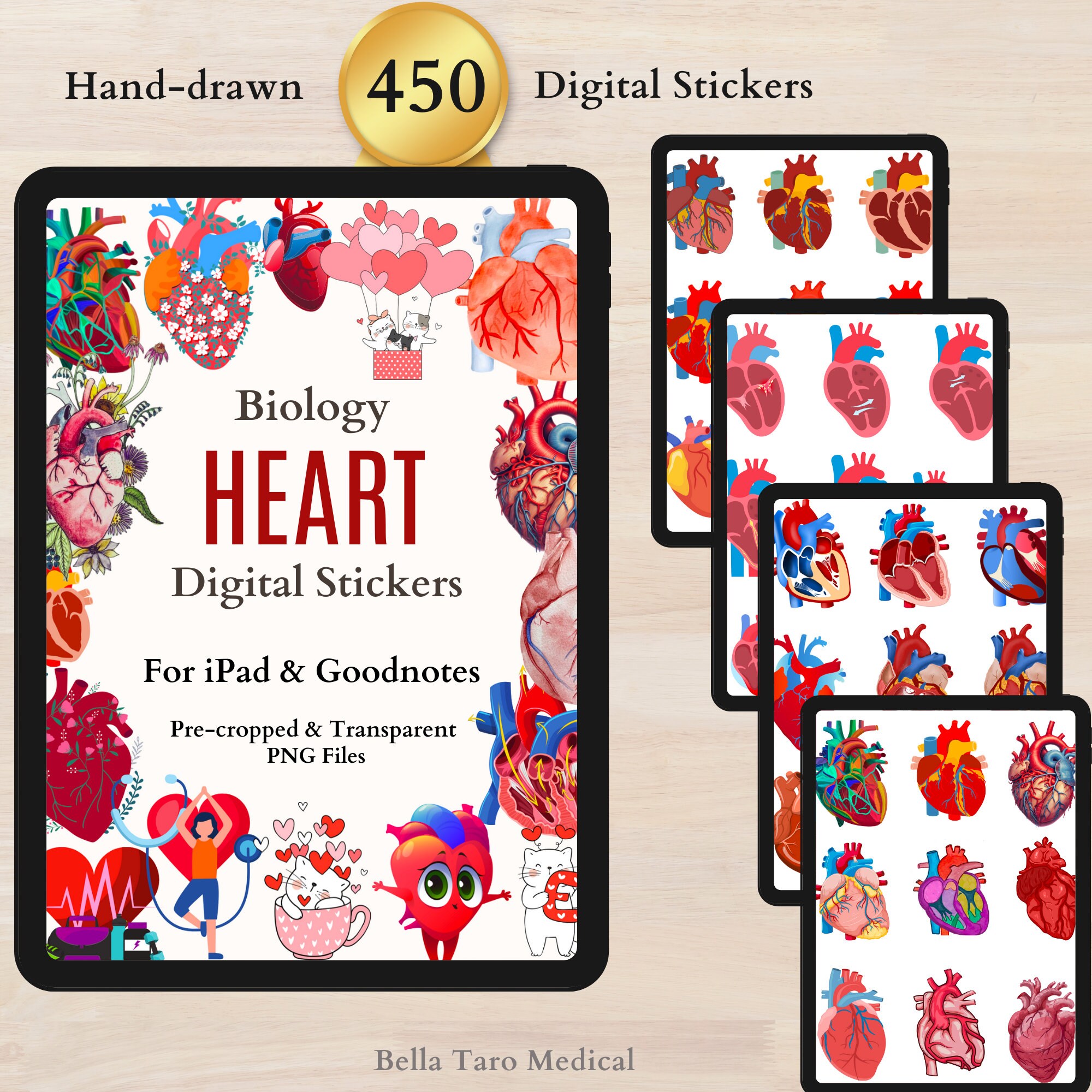 Heart Anatomy Digital Stickers Hand-drawn Precropped Human Heart ...
