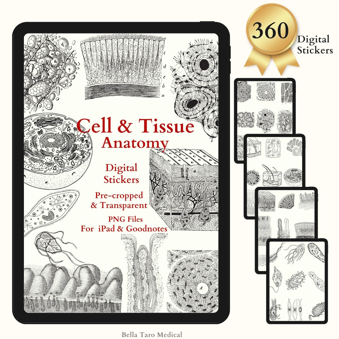 Cell & Tissue Anatomy Digital Stickers, Cell Biology Tissue Anatomy ...