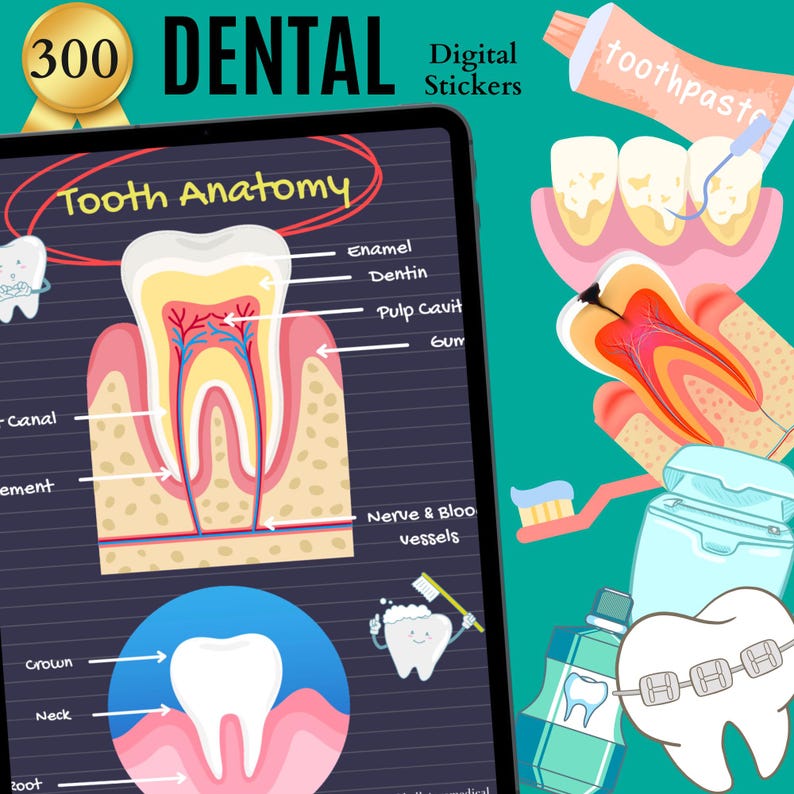Dental Digital Stickers,dental Hygiene Sticker,tooth Sticker,dental ...