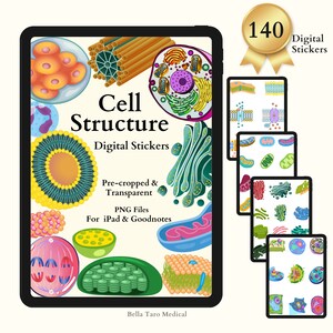 Cell Structure & Anatomy Digital Stickers, Precropped Cell Biology and ...