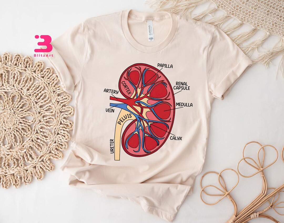 Kidney Anatomy Shirt Kidney Disease Awareness Tshirt - Etsy