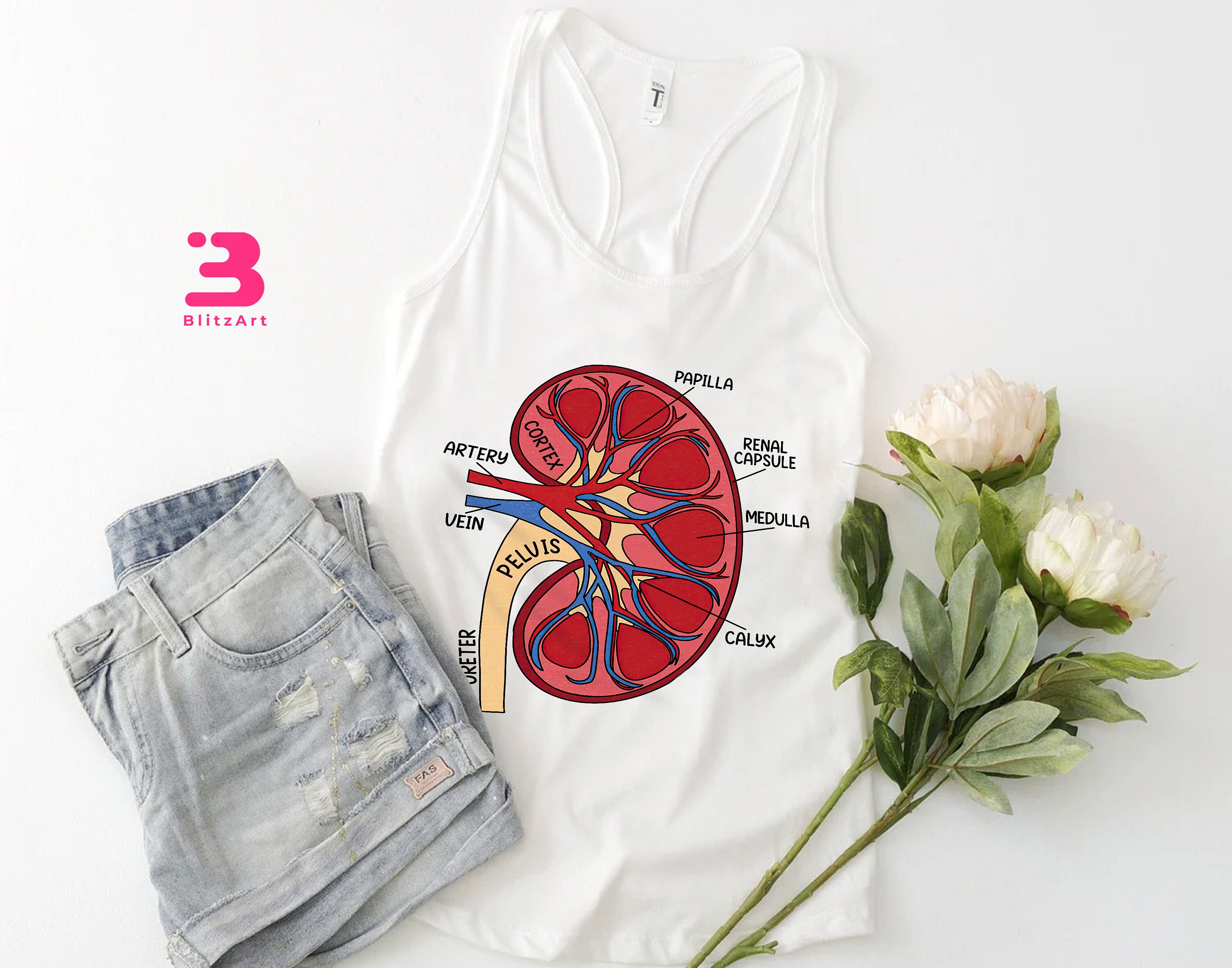 Kidney Anatomy Shirt, Kidney Disease Awareness Tshirt, Transplant Gift ...