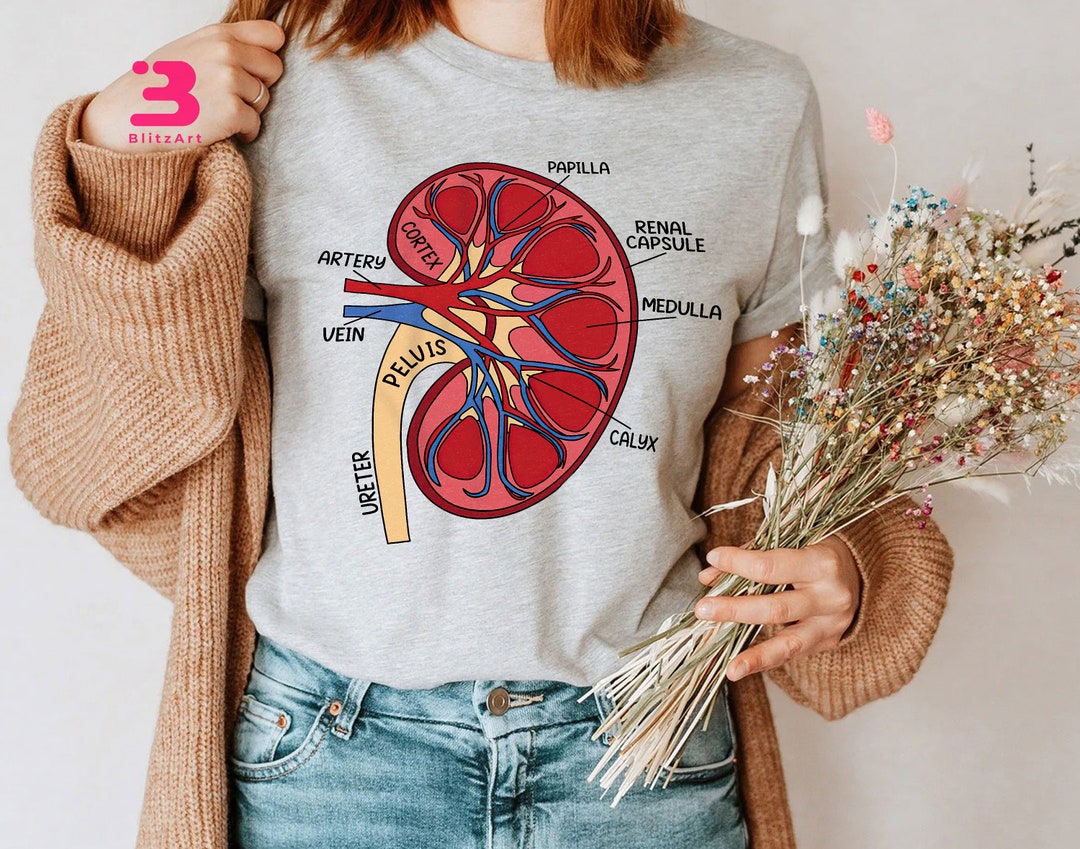 Kidney Anatomy Shirt, Kidney Disease Awareness Tshirt, Transplant Gift ...