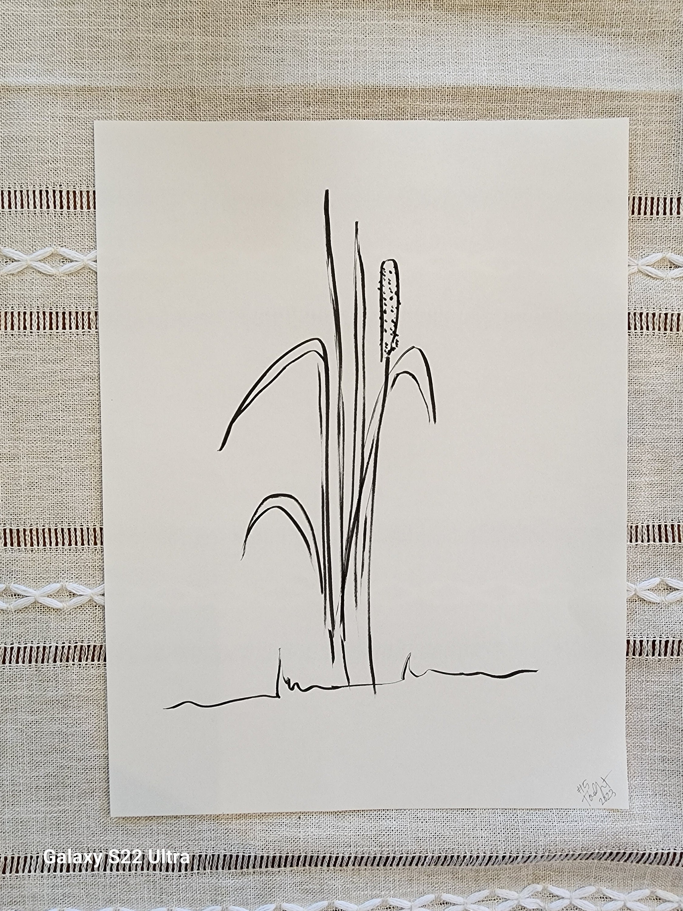 Cattail Original Line Drawing - Etsy