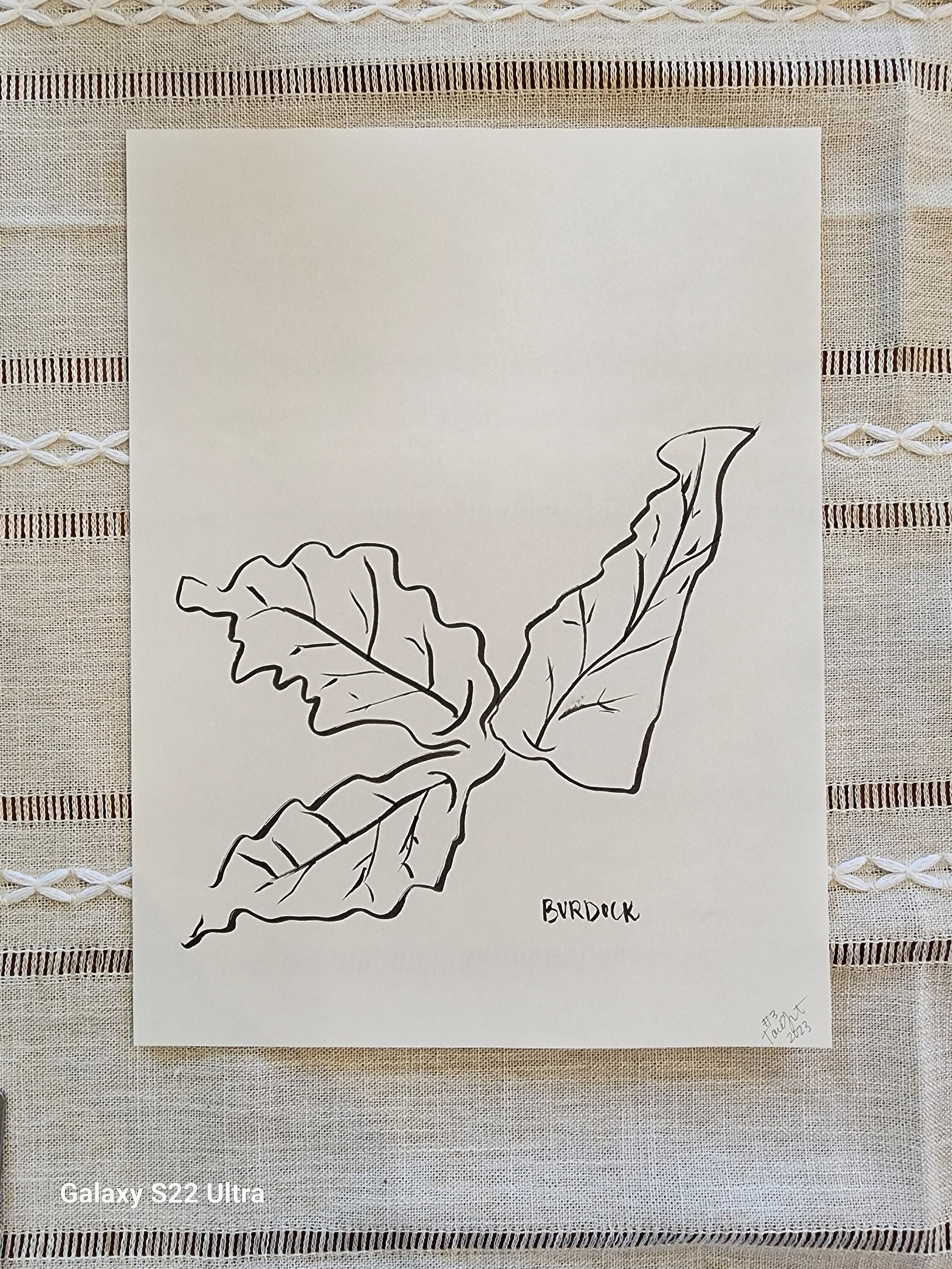 Burdock Original Line Drawing - Etsy