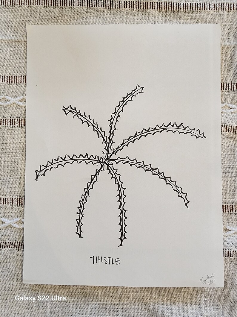 Thistle Original Line Drawing - Etsy