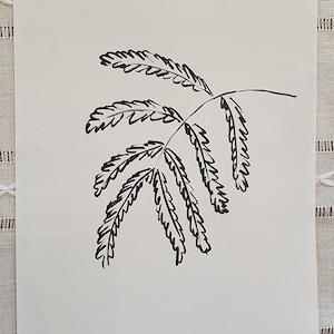 Mimosa Original Line Drawing - Etsy