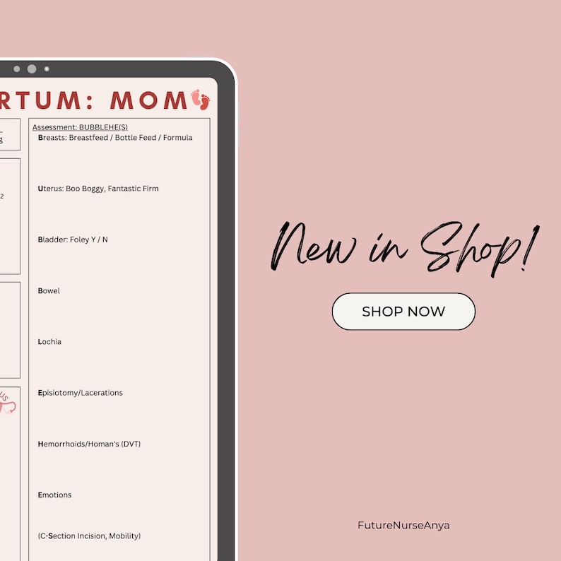 Nursing OB Clinical Sheet PDF Digital Download - Etsy