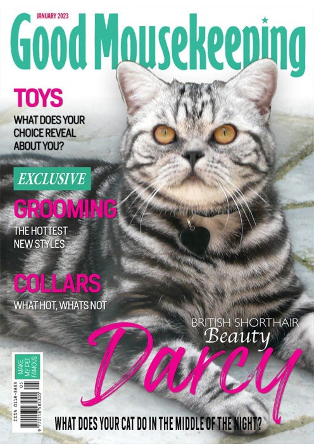 TOTALLY Personalized Dog / Cat / Pet Prints | Magazine Covers ...
