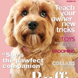 TOTALLY Personalized Dog / Cat / Pet Prints | Magazine Covers ...