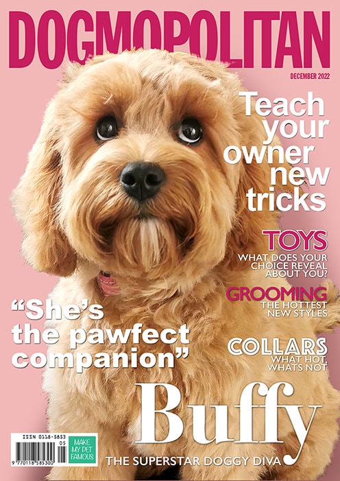 TOTALLY Personalized Dog / Cat / Pet Prints Magazine Covers - Etsy
