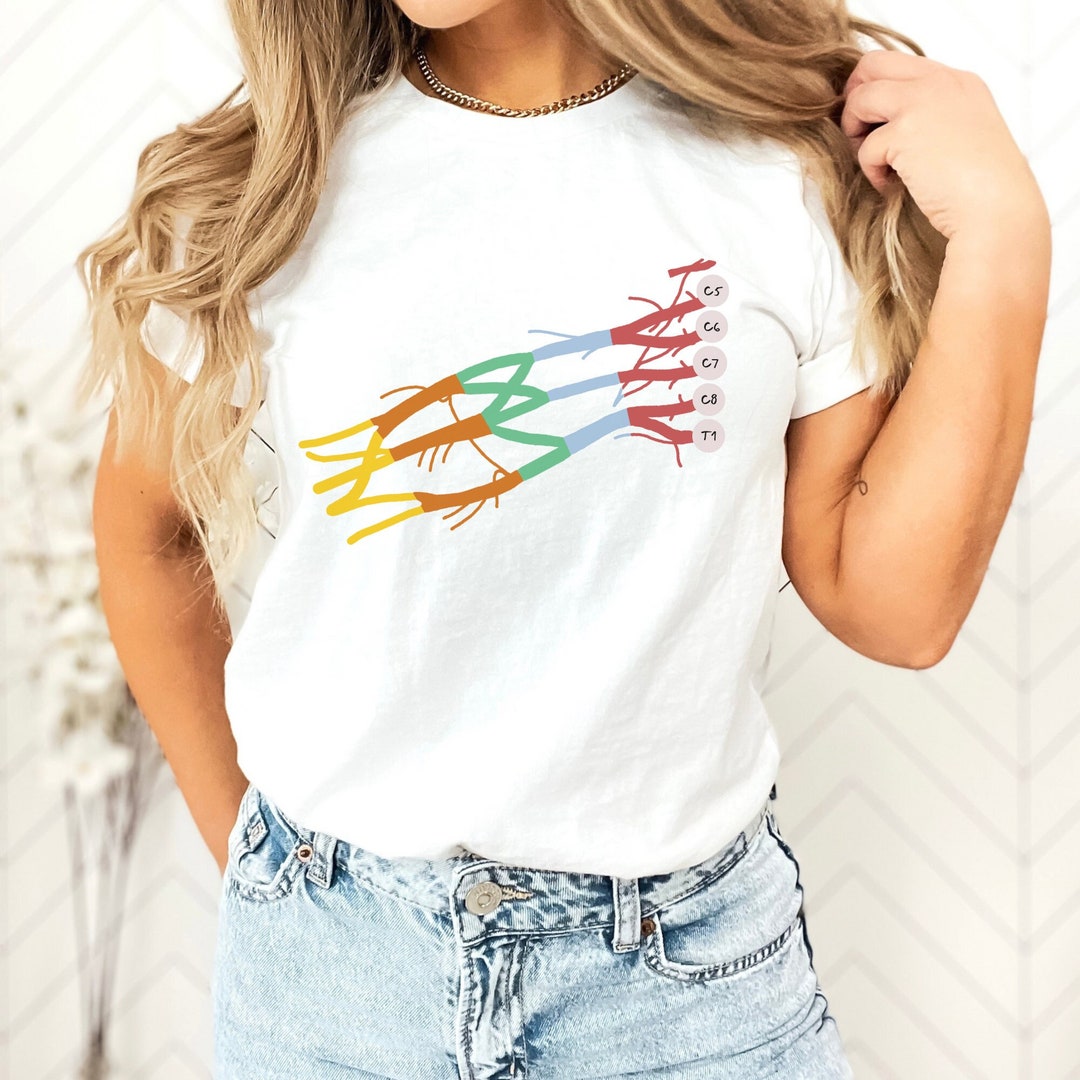 Brachial Plexus Shirt, Occupational Therapy Shirt, Physical Therapy ...