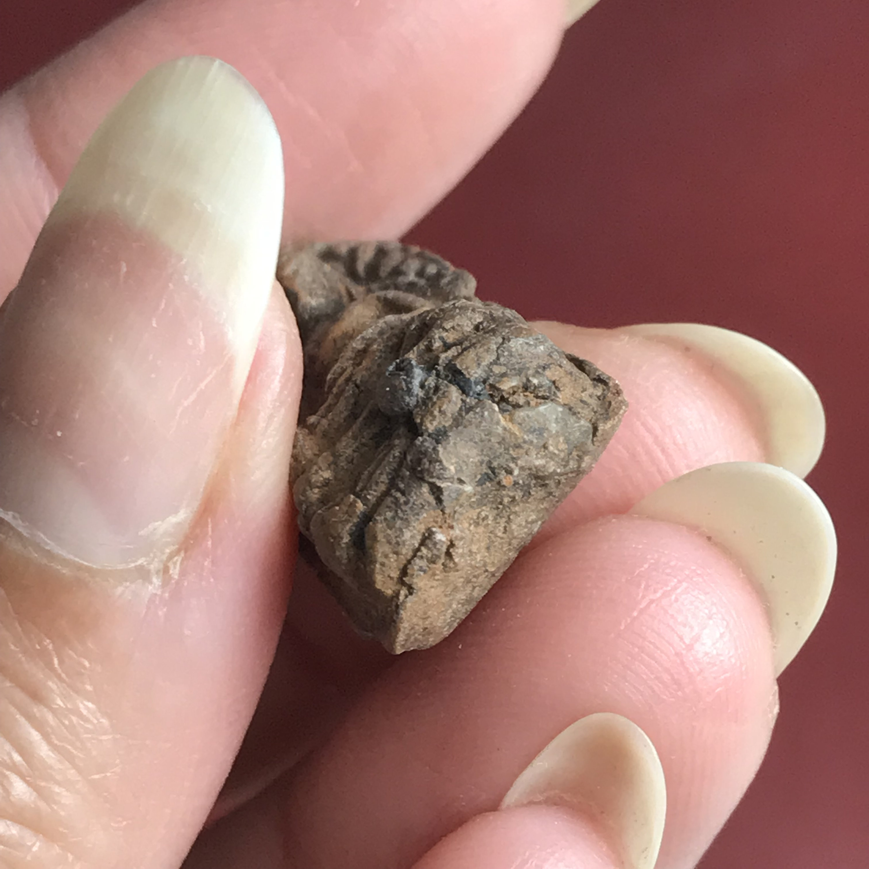 Phra Rod Benjapakee Set THAILAND AMULET Pendant Talisman Protection ...