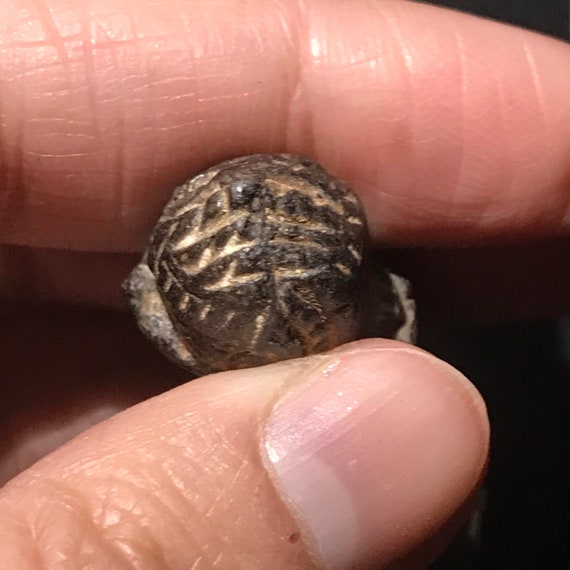 Thai Hanuman Amulet Buddha Temple Talisman Pendant Ch… - Gem