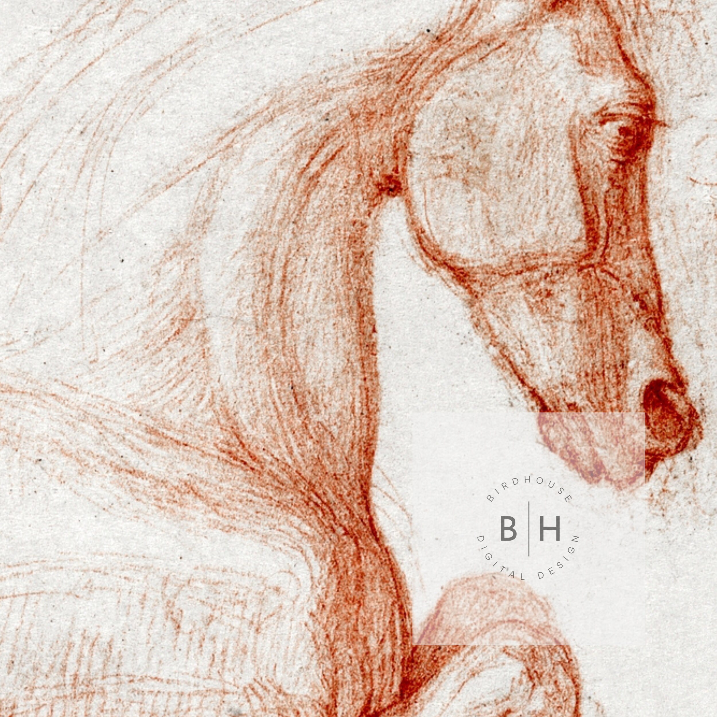 A Prancing Horse PRINTABLE ART PRINT - Digital Download in 4 Files ...