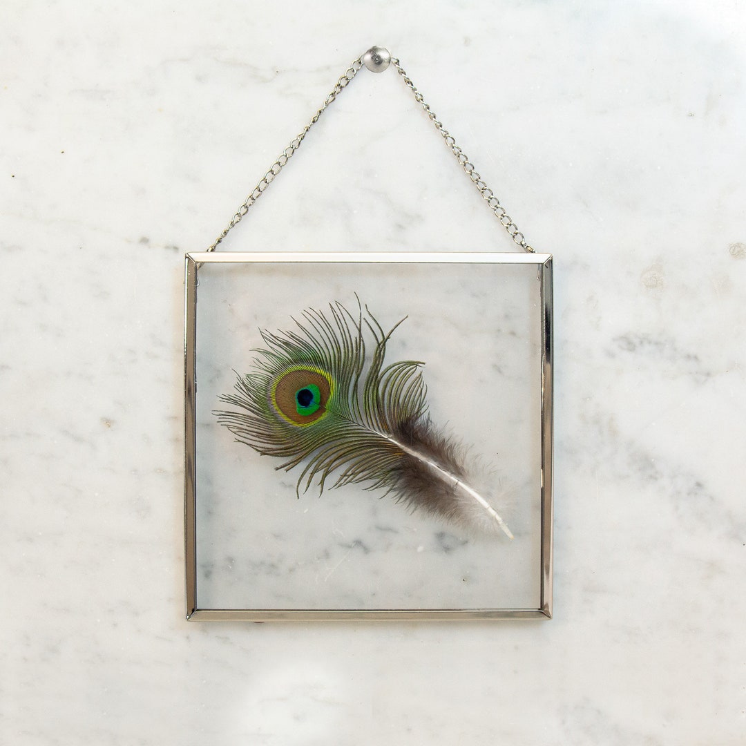 Peacock Feathers in a Silver Frame Peacock Decoration Wall Decoration ...
