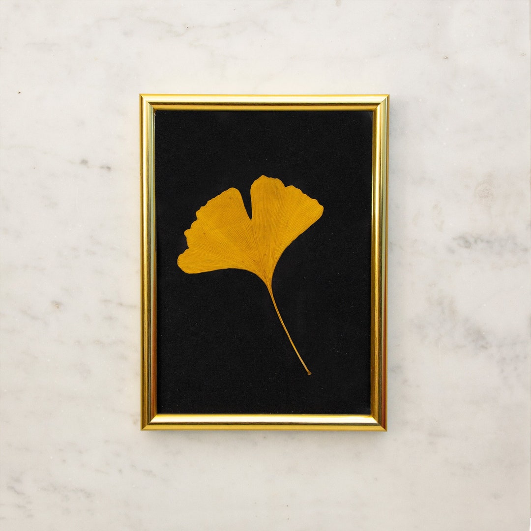 Ginkgo Leaf in a Golden Frame Ginkgo Decoration Wall Decoration Ginkgo ...