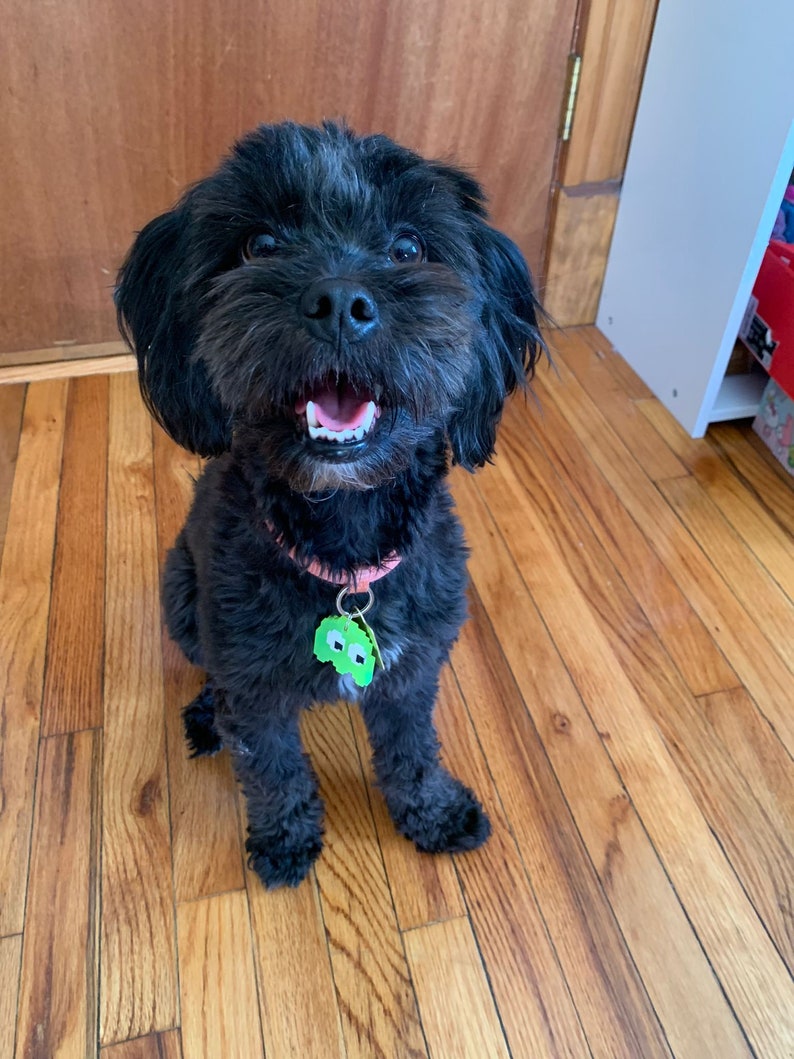 Personalized Pac-man Ghost Pet ID Tag in YELLOW COLOR Custom Handmade ...