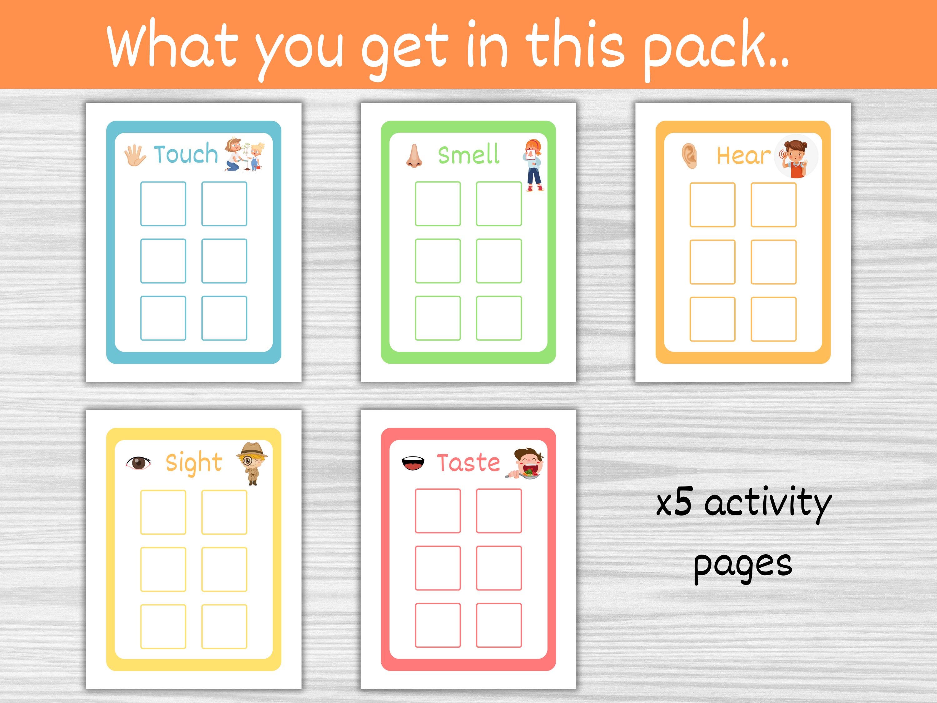 5 Senses Sorting Activity, Cut and Paste Busy Book, Touch, Smell, Hear ...