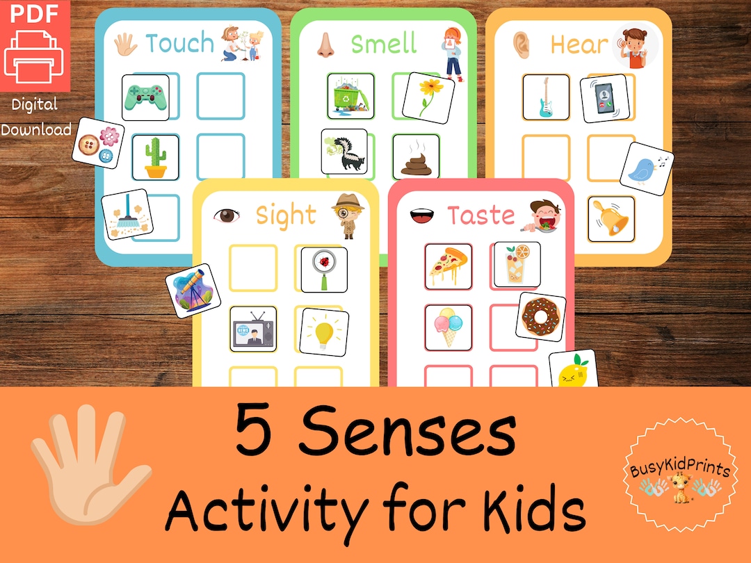 Interactive 5 Senses Sorting Activity, Toddler Busy Book Pages ...