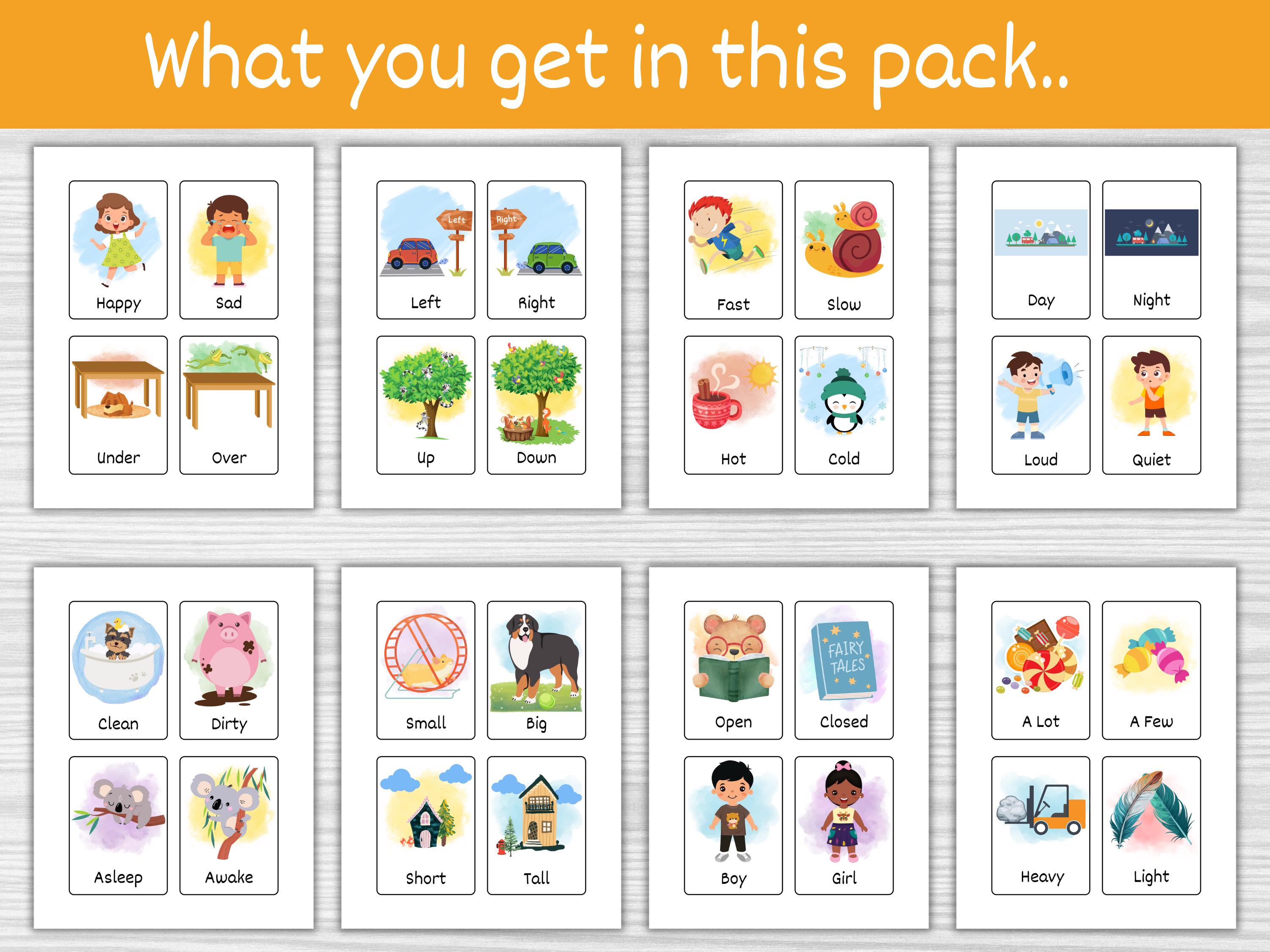 Playful Opposites Flashcards 42 Digital Cards for Kids: Homeschool ...