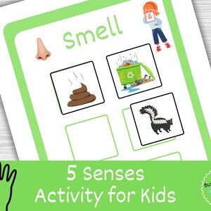 5 Senses Sorting Activity, Cut and Paste Busy Book, Touch, Smell, Hear ...