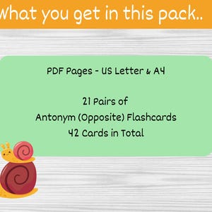 Playful Opposites Flashcards 42 Digital Cards for Kids: Homeschool ...