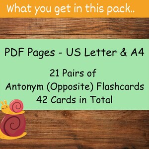 Playful Opposites Flashcards 42 Digital Cards for Kids: Homeschool ...
