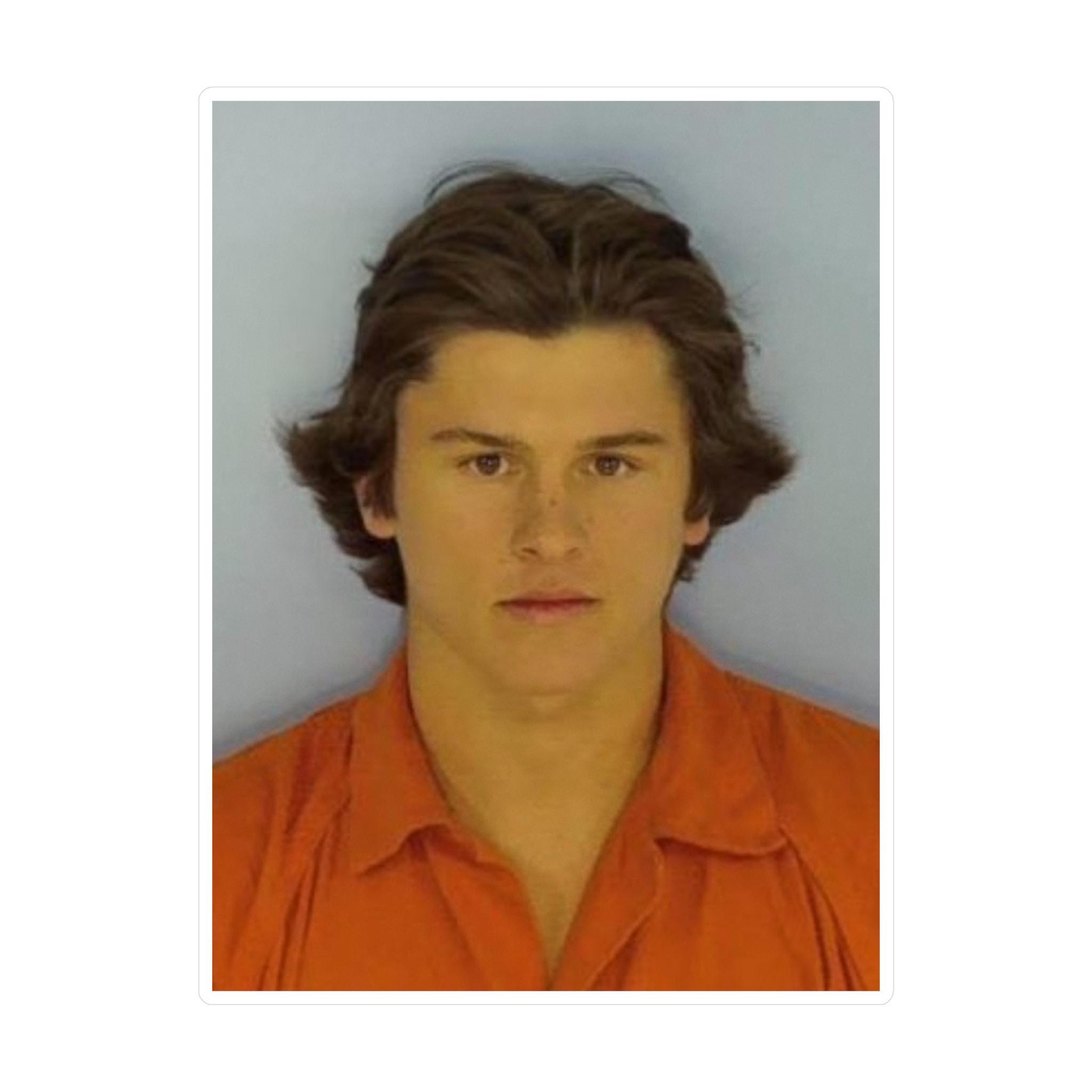 Motocross Haiden Deegan Mugshot Kiss-cut Vinyl Decal Sticker, Deegan ...