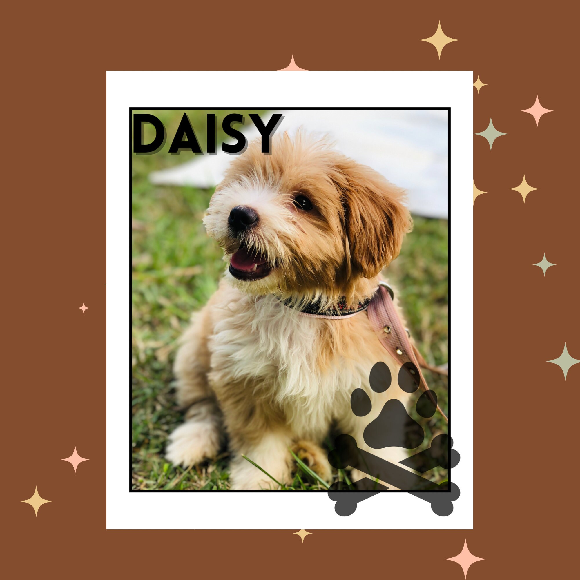 Custom Dog Picture Template - Etsy