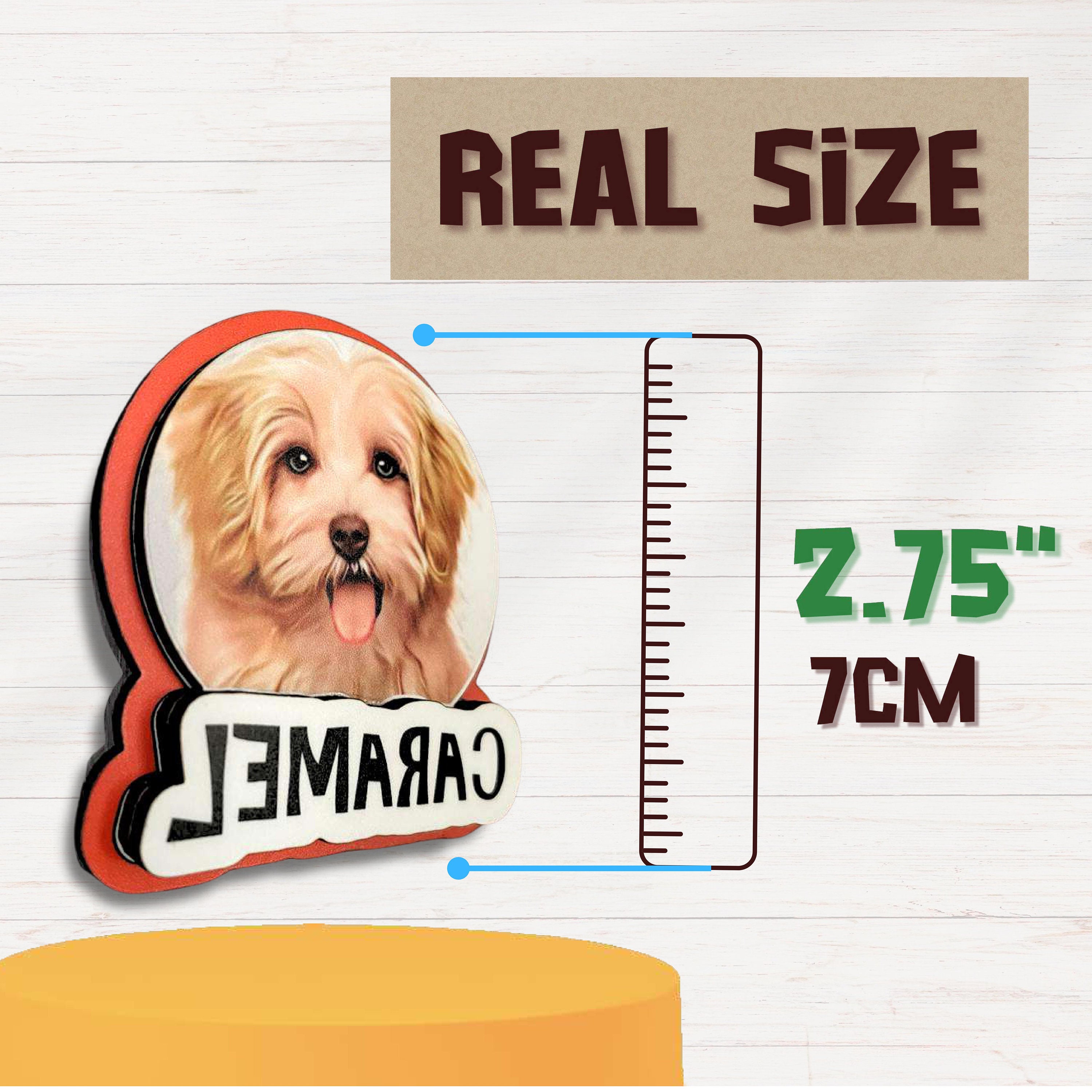 Dog Portrait Magnets, Custom Pet Magnets for Dogs, Photo Magnet for ...