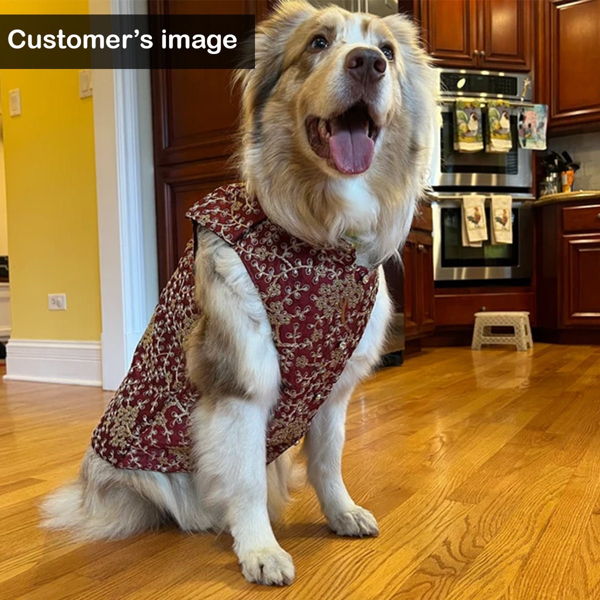 Dog Sherwani: Indian Wedding Outfit, Desi Pet Clothing - Etsy